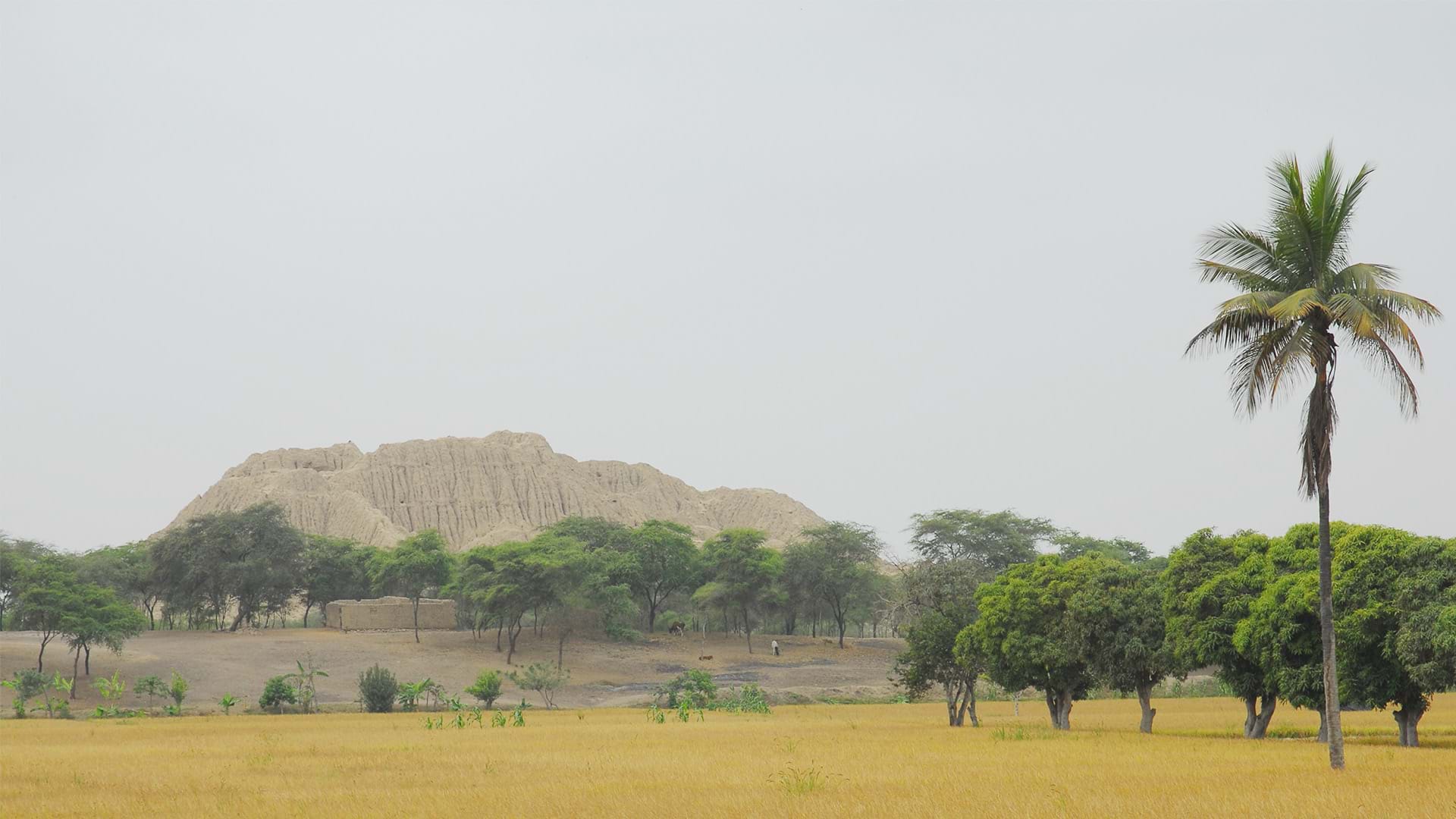 Tucume, das Tal der Pyramiden
