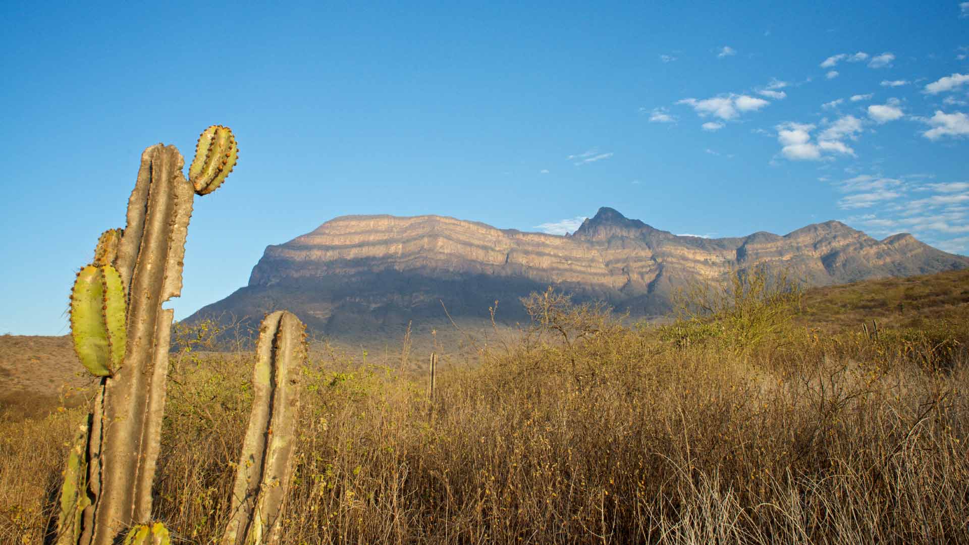 Chaparri Private Conservation Area
