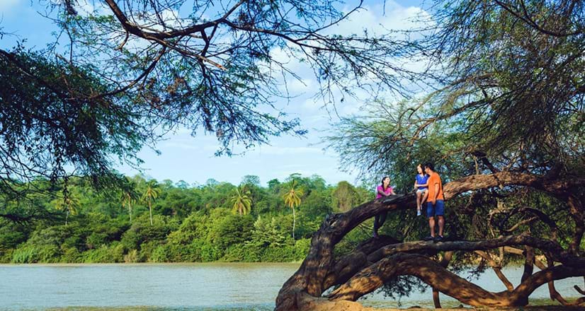 Bosques de Tumbes, Hermosa biodiversidad