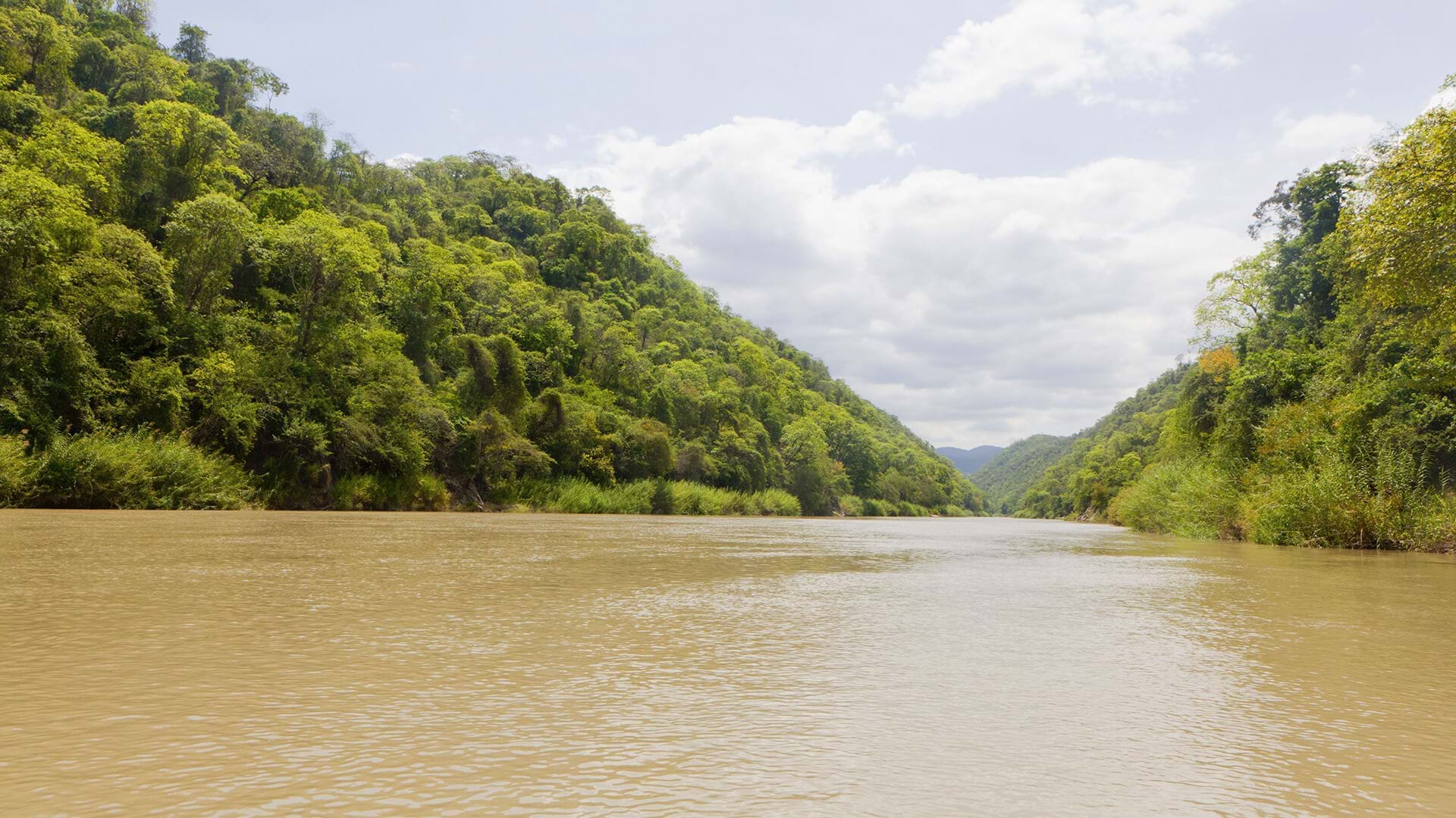 Bosques de Tumbes, Hermosa biodiversidad