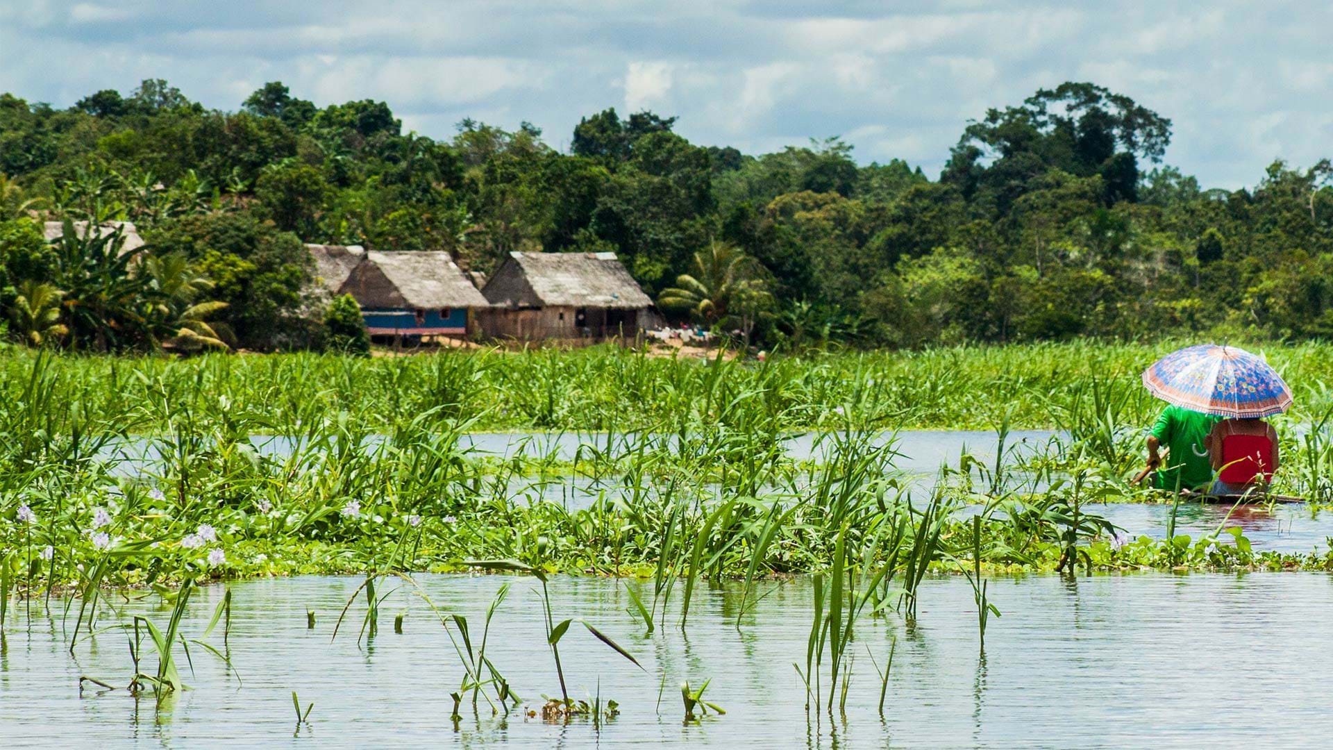 Río Amazonas, el río más caudaloso y largo del mundo