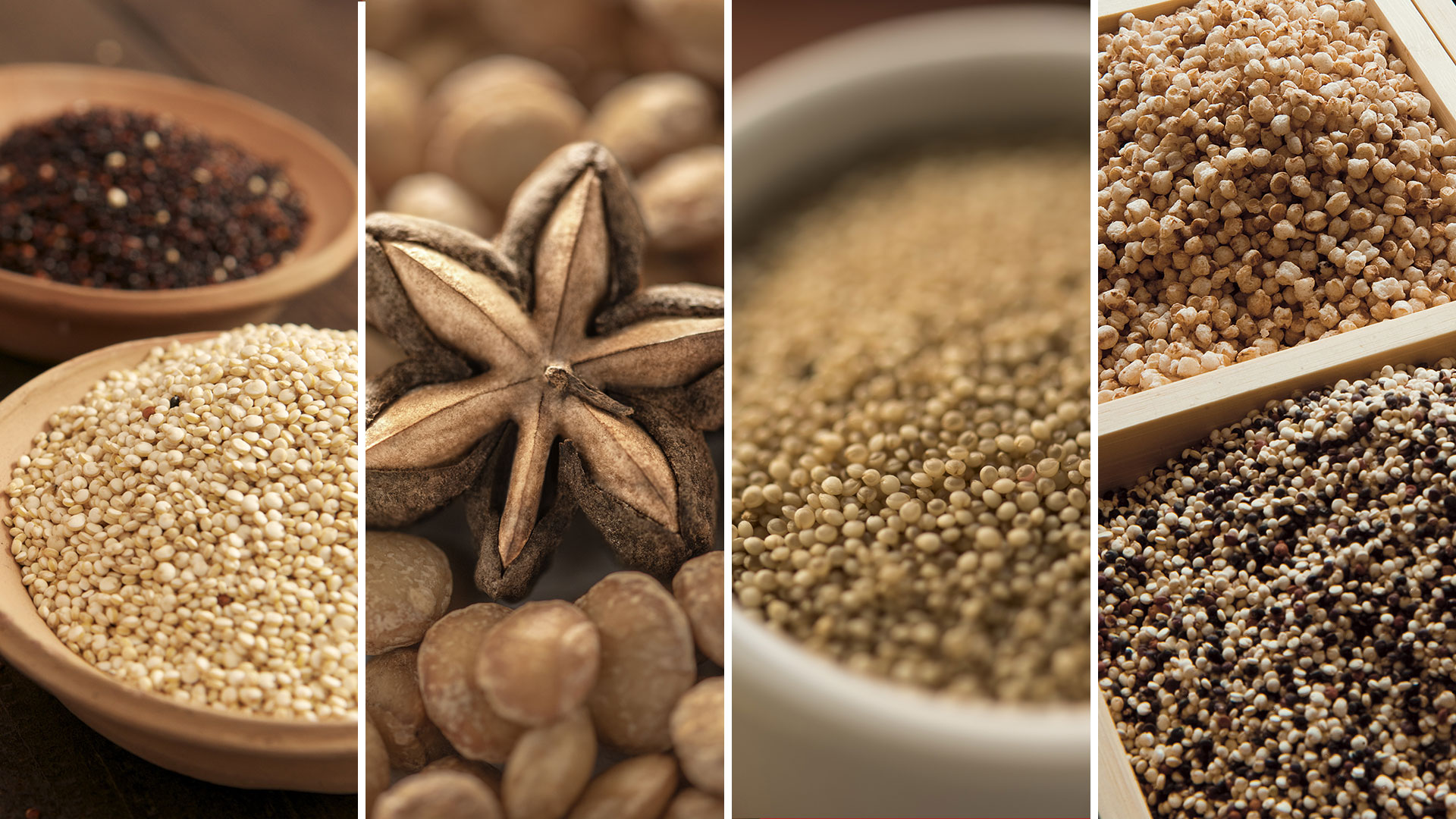 Andean Grains’ Day