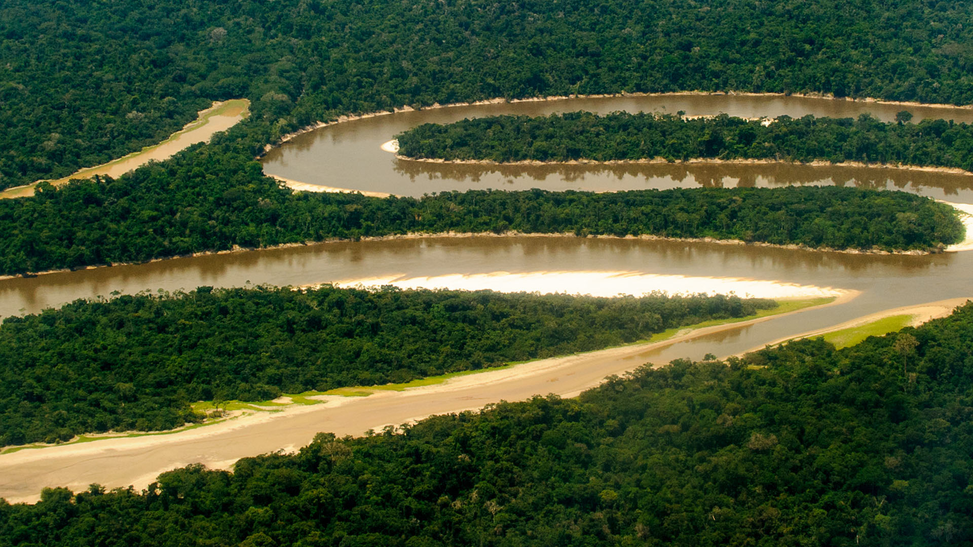 Aniversario del Río Amazonas como Maravilla Natural del Mundo