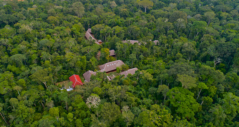 Amazonas Lodge: Jungle Accommodation - Peru Travel
