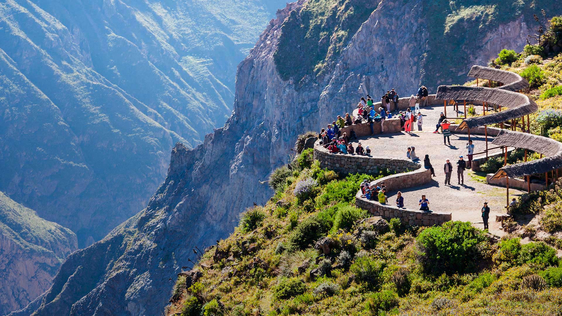 Visita Al Canyon Del Colca E Avvistamento Del Condor Dove Si Può Vedere Il Signore Dei Cieli