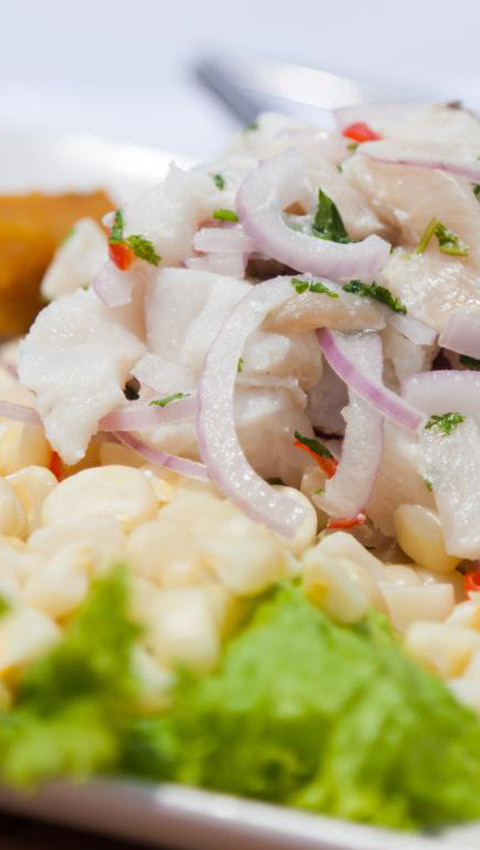 Pisco sour: history and preparation of the majestic Peruvian cocktail