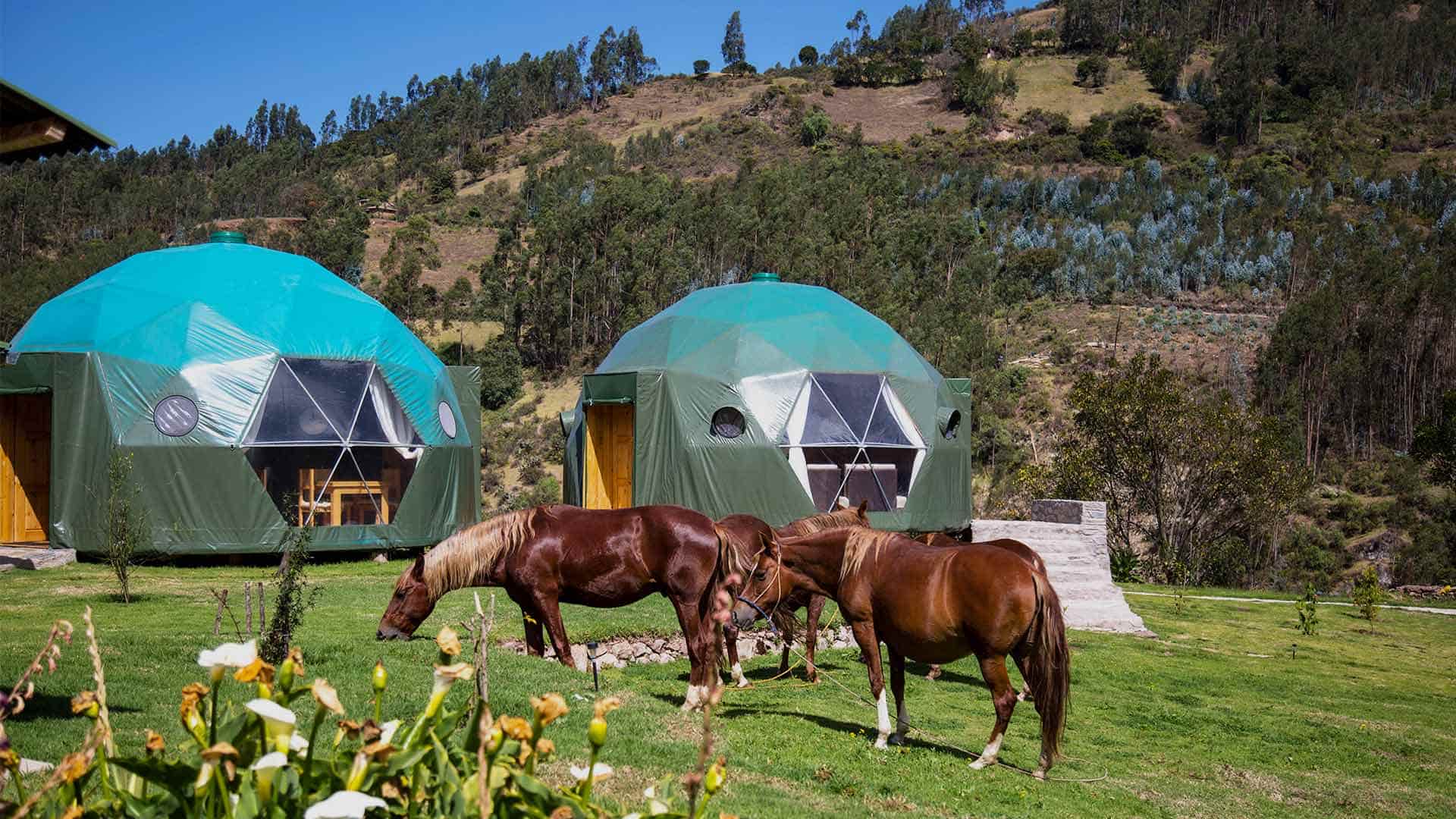 Vive la experiencia de hacer glamping en el Valle Sagrado