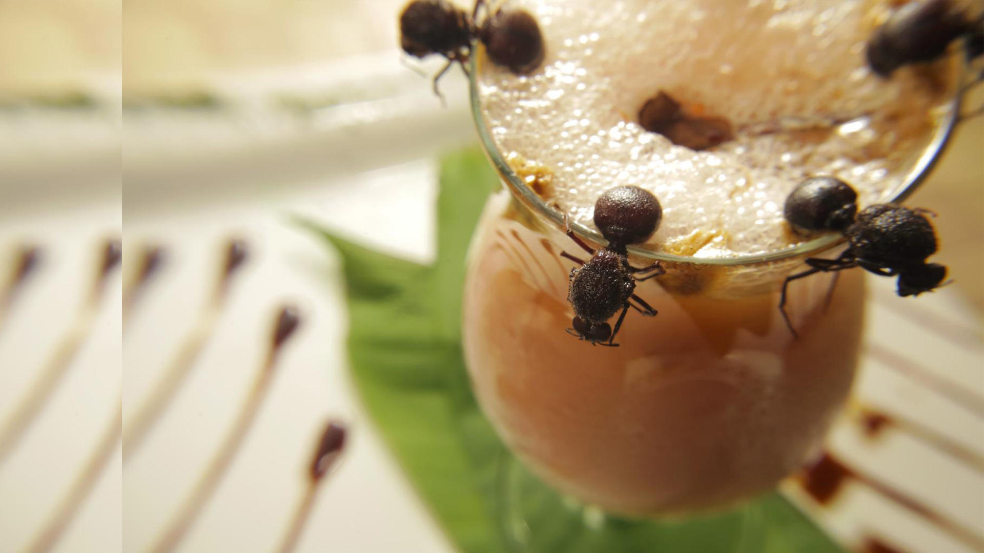 Arte y tradición de los Shipibo-Konibo, una comunidad de la Amazonía ...