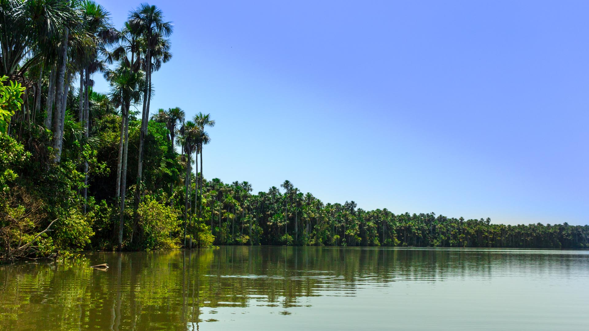 Lago Sandoval, considerado el más bello de la Amazonía peruana