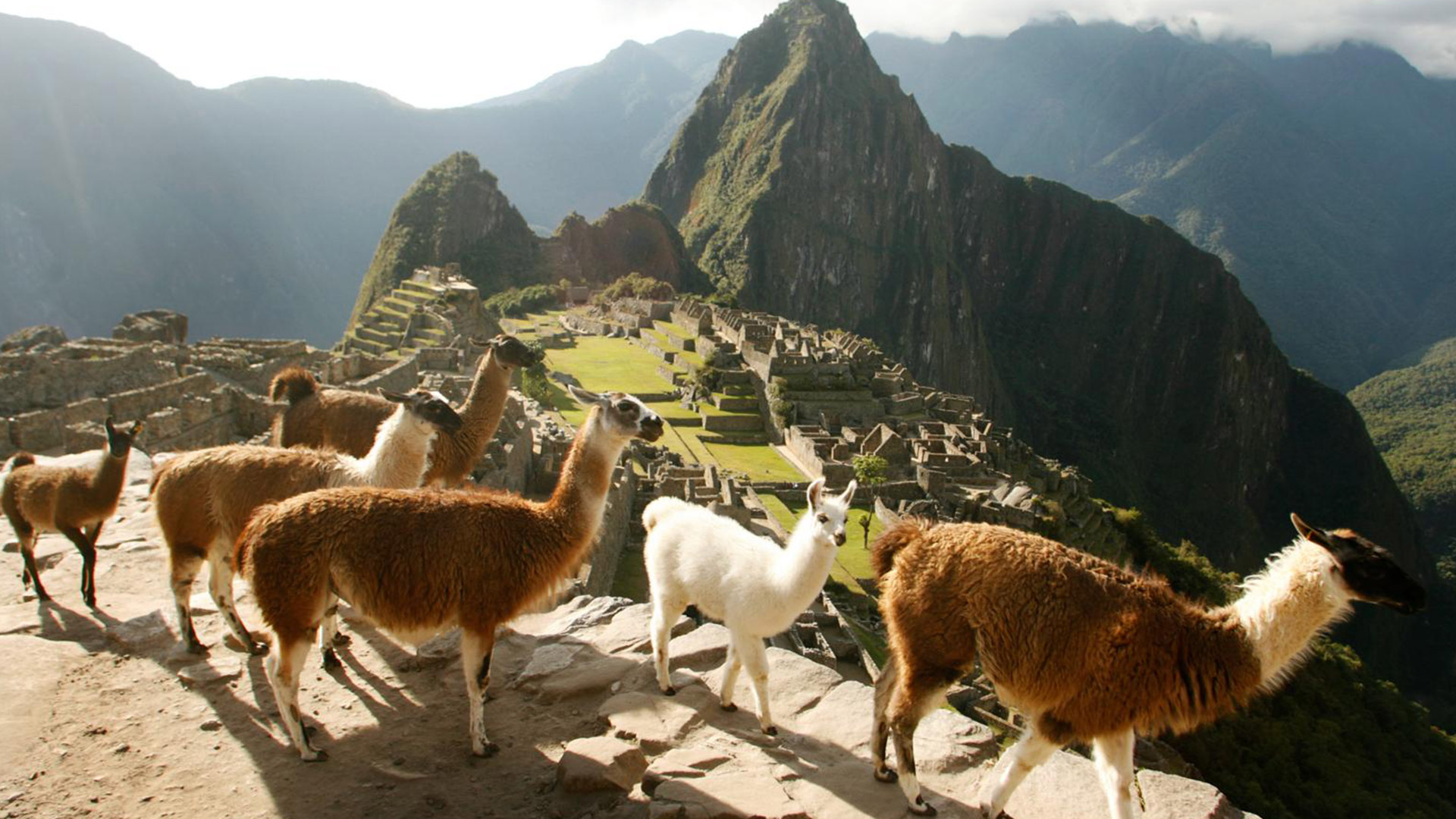 Peru is one of the most biodiverse countries in the world
