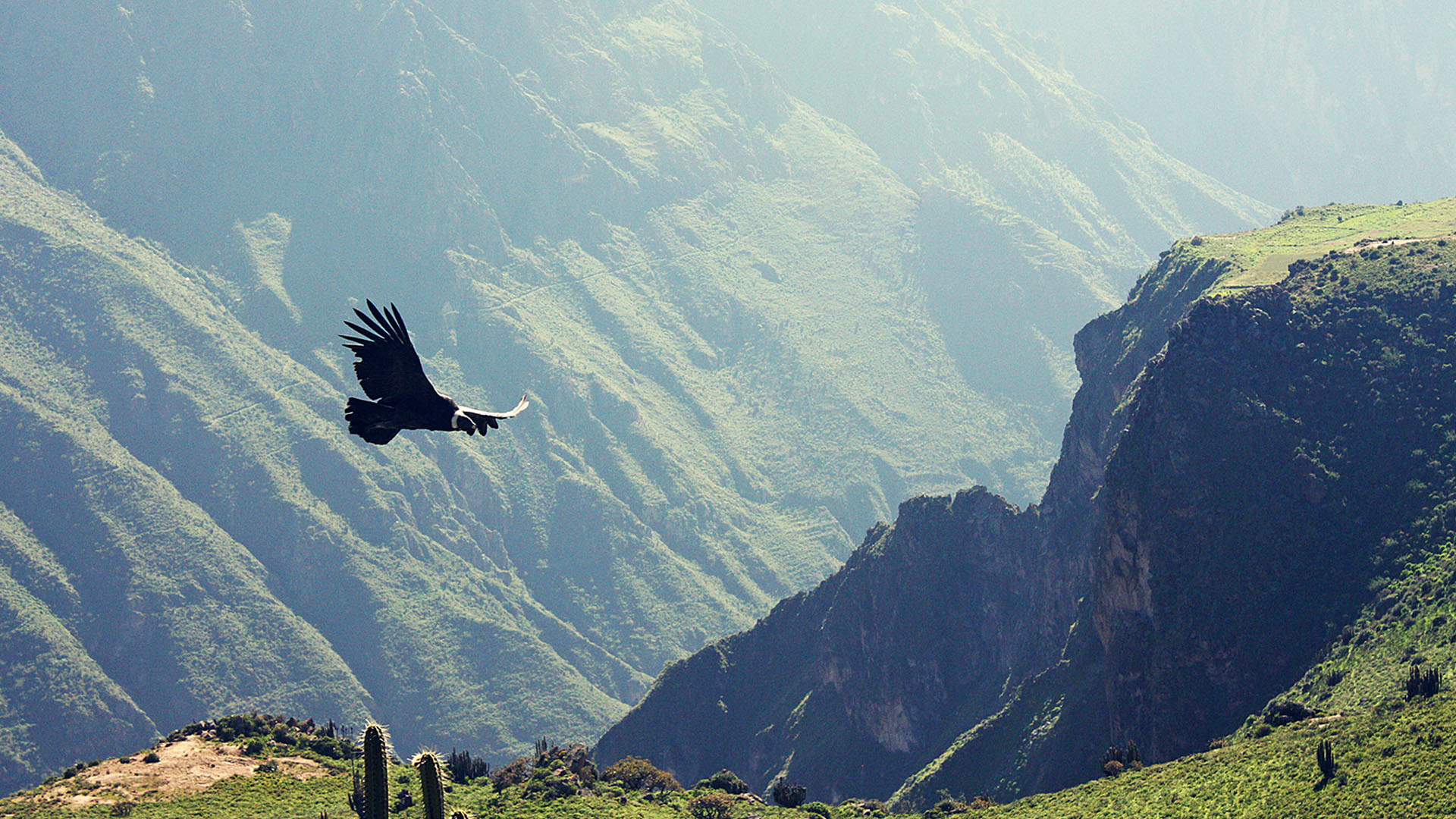Colca Valley achieves maximum distinction for a tourist destination