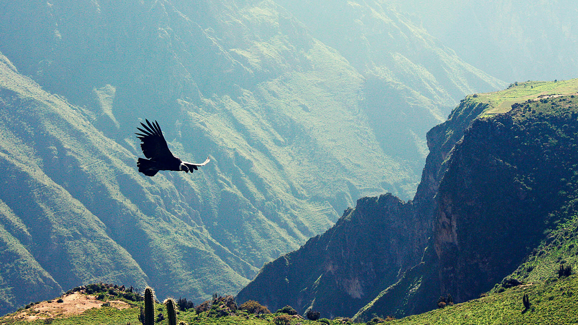 Valle del Colca logra máxima distinción para un destino turístico