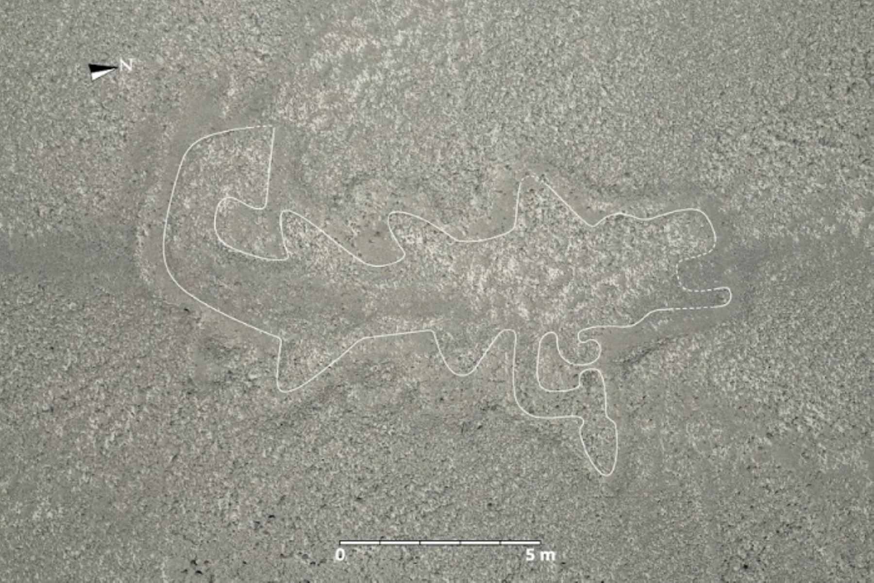 Líneas y Geoglifos de Nasca: más de 300 figuras son descubiertas en la ...