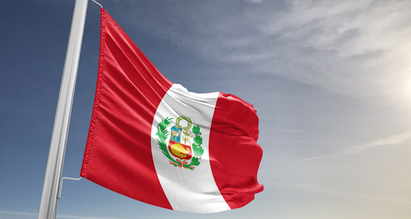 ¿Cómo los flamencos influenciaron en la creación de la bandera peruana?