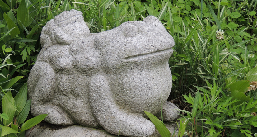 El sapo de piedra (Perú)